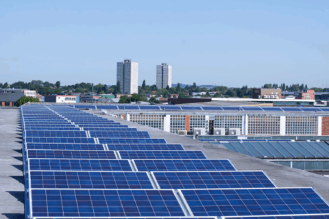 Optima G12R Bifacial Solar Panels – 595 Wp | IB Solar